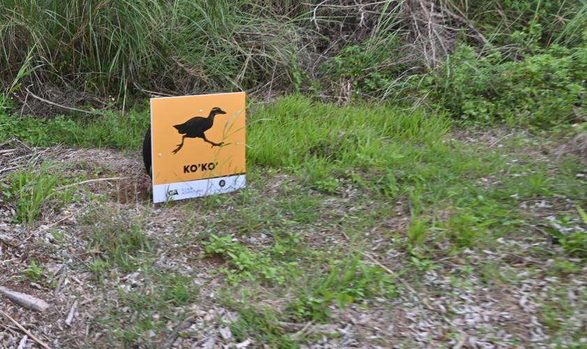 Guam Adventures' off-roading reopens at LeoPalace Resort Guam ...