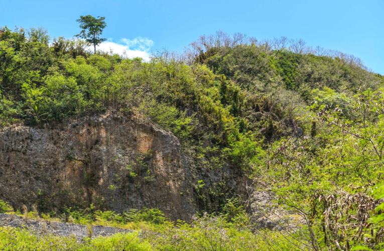 George Tweed, controversial war hero, refused to surrender when ...