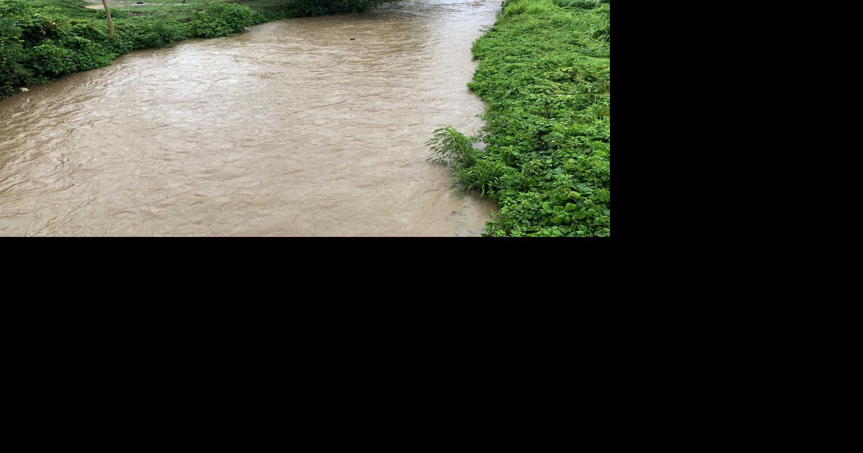 Public Health confirms leptospirosis; avoid flood waters, contaminated ...
