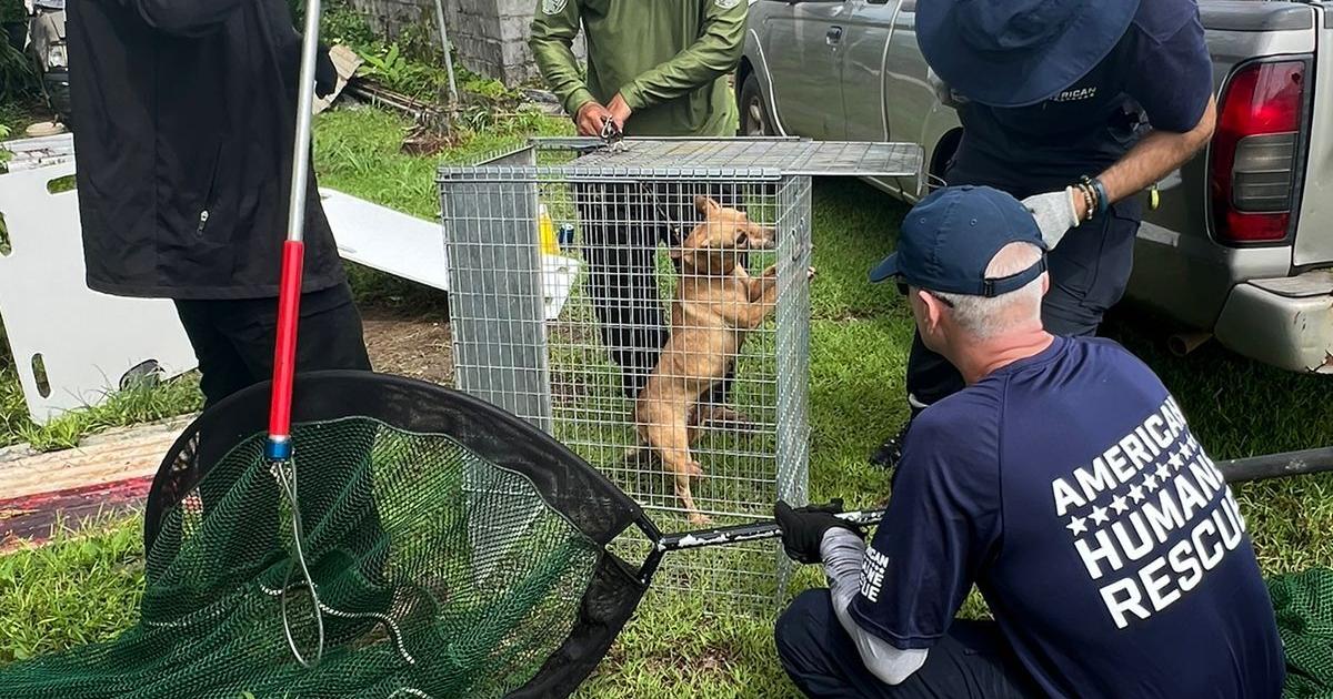 Department of Agriculture Animal Health Division partners with American ...