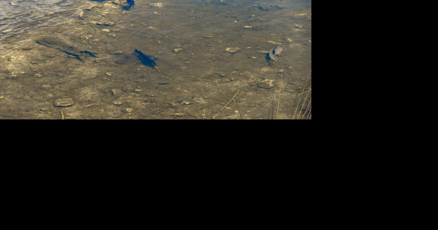 Guam receives $841,357 in federal awards to protect marine ...