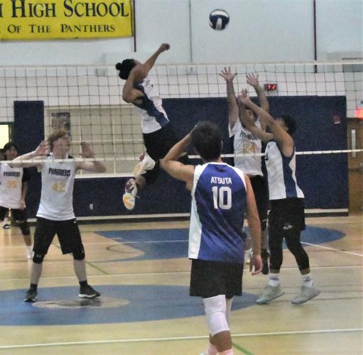 Harvest Eagles declaw Panthers in straight sets | Sports | guampdn.com Harvest Eagles declaw Panthers in straight sets | Sports | guampdn.com
