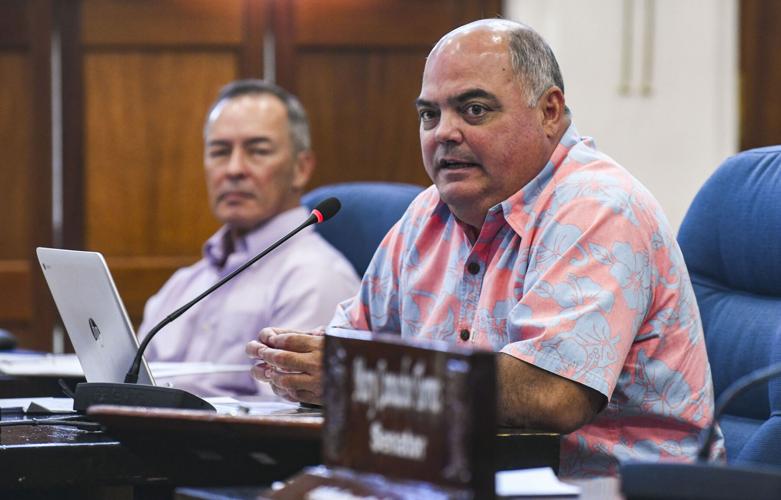 Bill to give $3M in tax credits to fix football fields advances | News ...