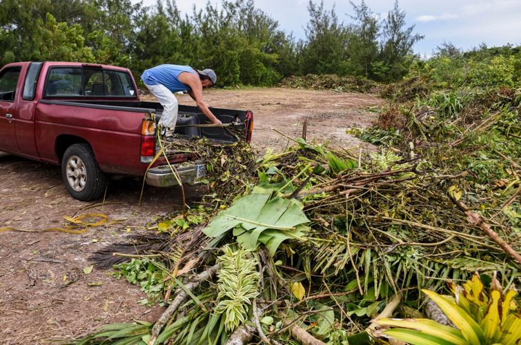 Disposing of typhoon green waste | Local News | guampdn.com