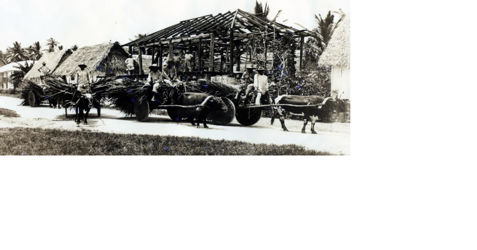 Biba Mes CHamoru: Guam Museum | Lifestyle | guampdn.com