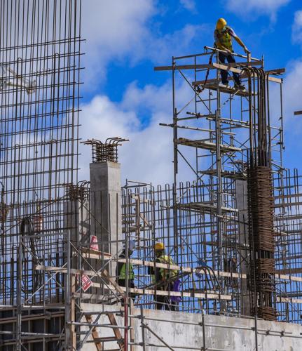 20241118 construction wild 02.jpg | News | guampdn.com
