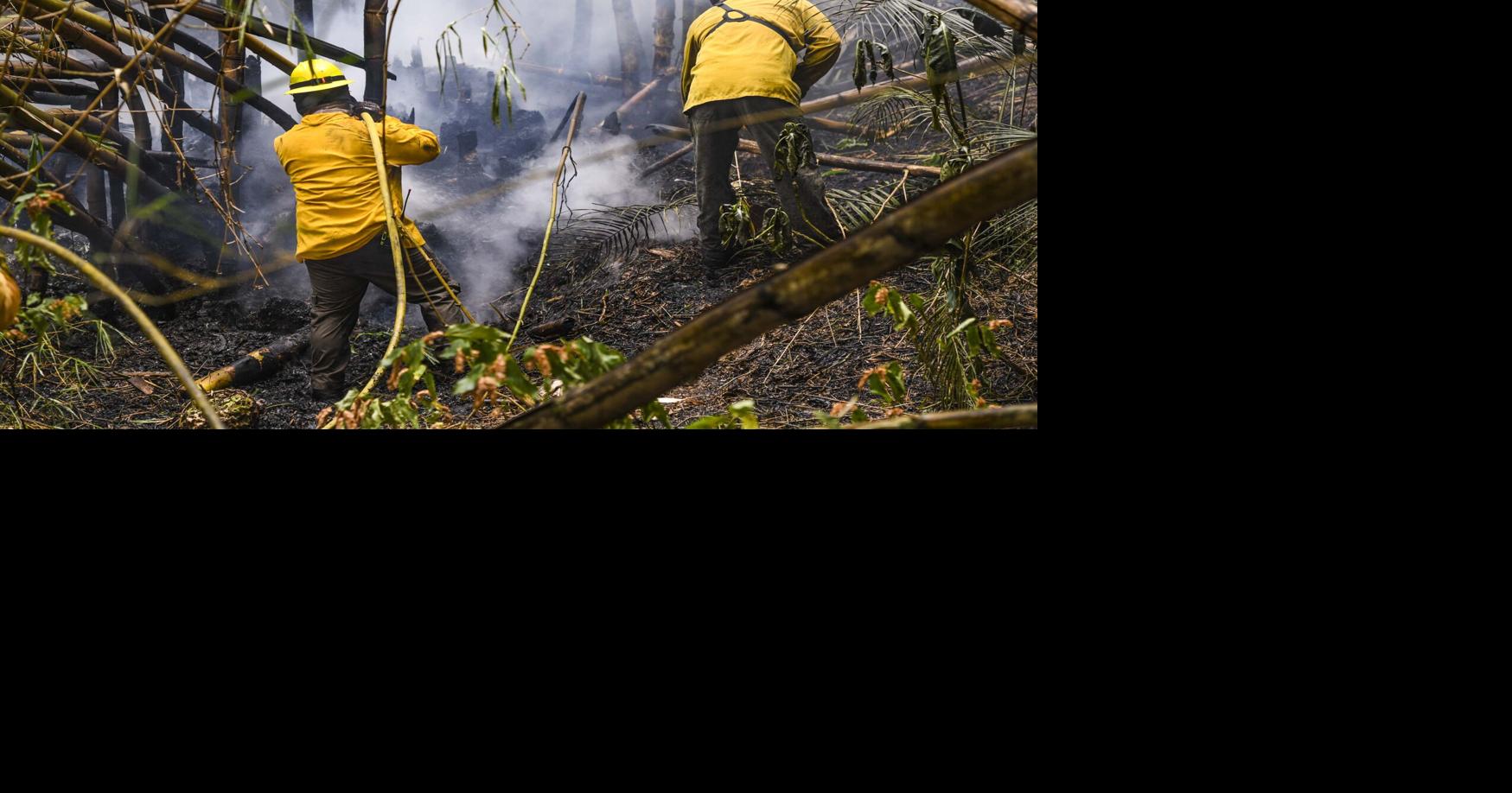 GFD firefighters battle bamboo blaze in Toto | News | guampdn.com