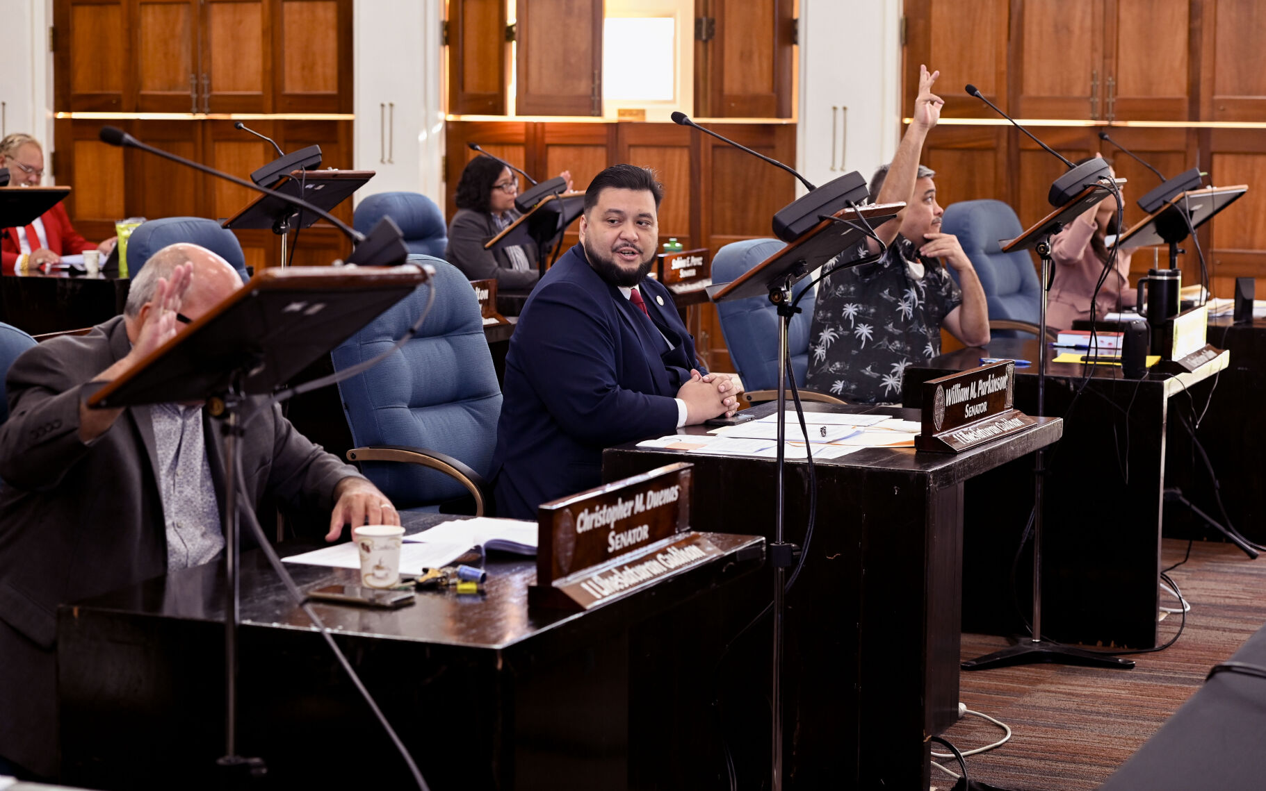 Parkinson urges US Senate representation for Guam | News | guampdn.com