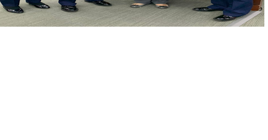 Islandstyle: Col. Ryan Hendricks is keynote speaker at naturalization ...