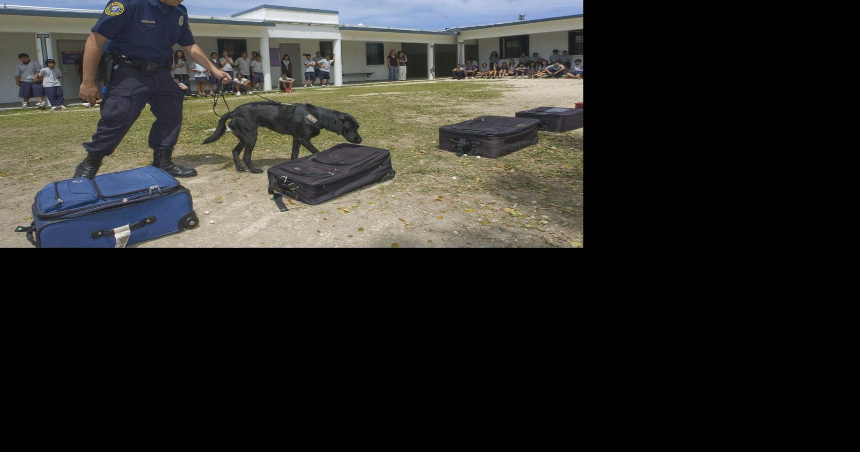 Retired Customs dog Toya found severely injured; euthanized | Local ...