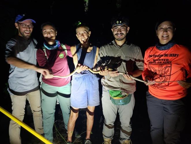 Protecting Guam's wildlife heritage, hunting one brown tree snake at a ...