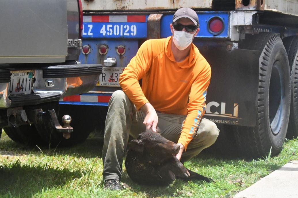 Guam's hunting season extended to Sept. 30 | Local News | guampdn.com