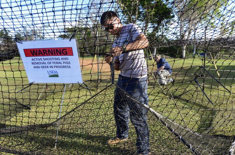 LETTER: Whatever happened to the mobile slaughterhouse plan? | Letters ...