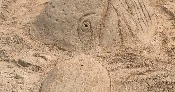 Sand sculptures at the Guam SandFest 2024 | Multimedia | guampdn.com