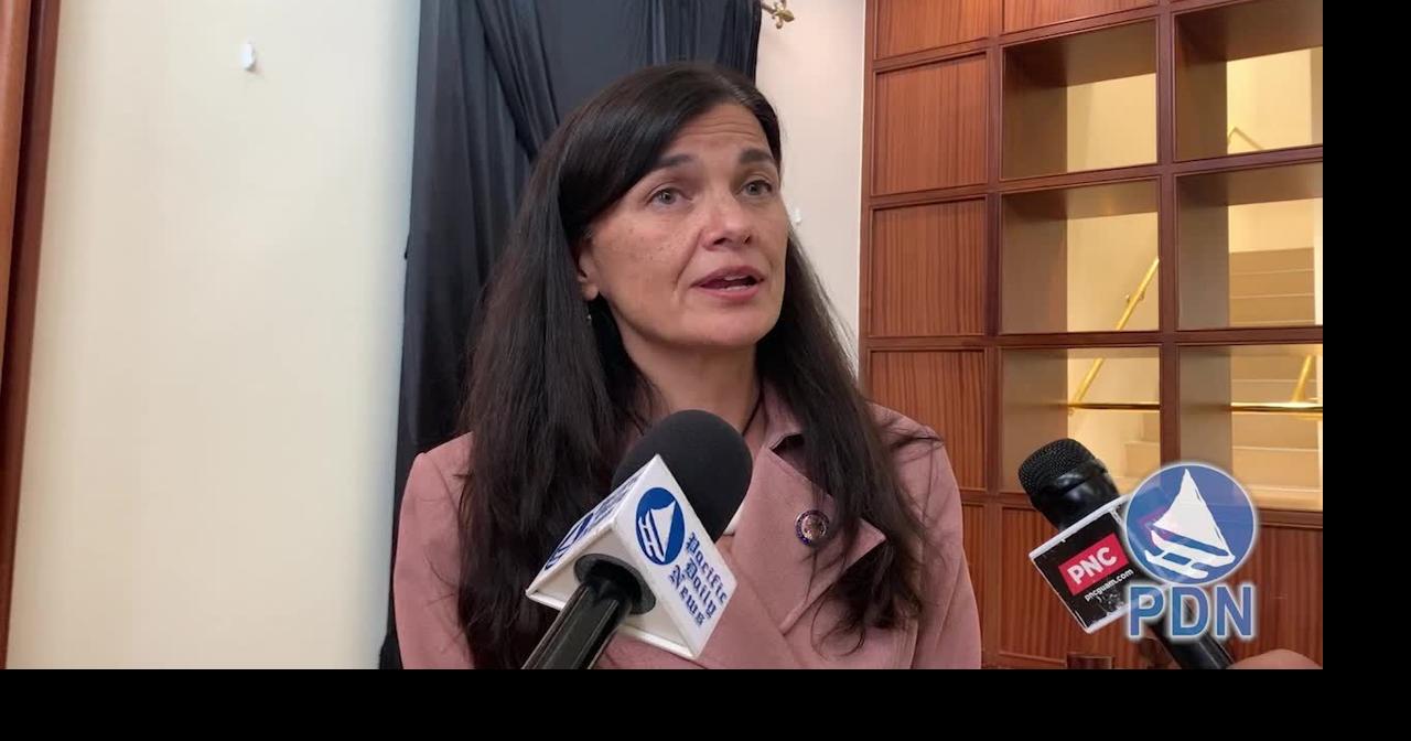 Therese Terlaje selected as speaker of 37th Guam Legislature | News ...