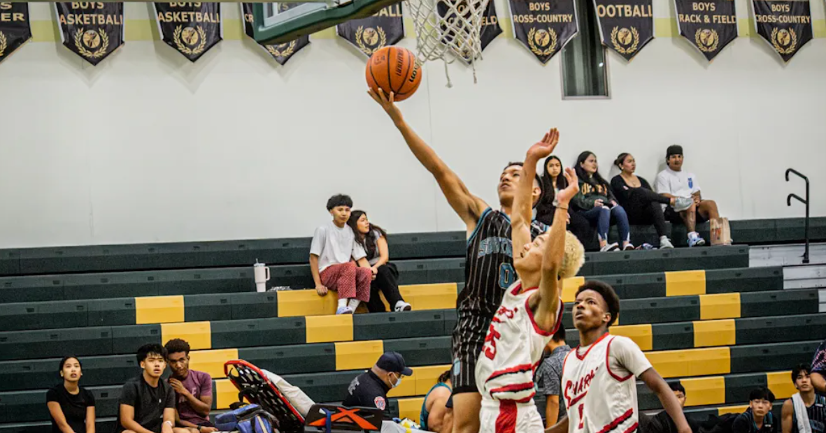 Dolphins top Sharks as regular basketball season closes | Sports ...