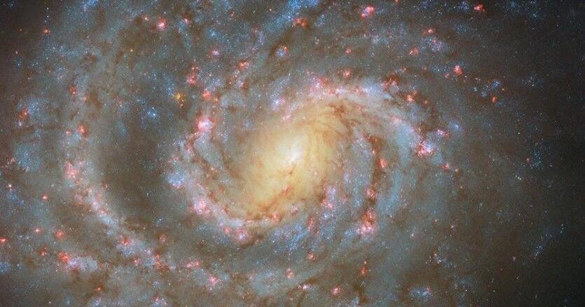 Starry Starry Night: Enjoy the 'river ride' | Lifestyle | guampdn.com