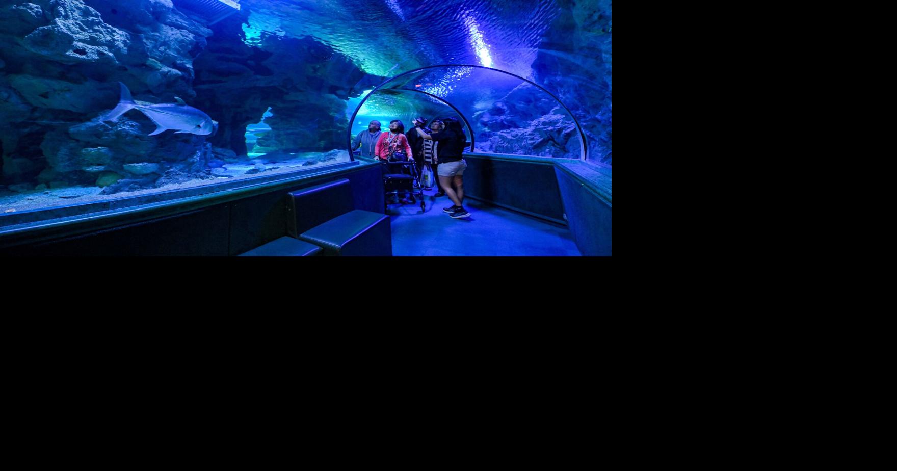 Guma Trankilidat manåmko' tour Aquarium of Guam | Multimedia | guampdn.com