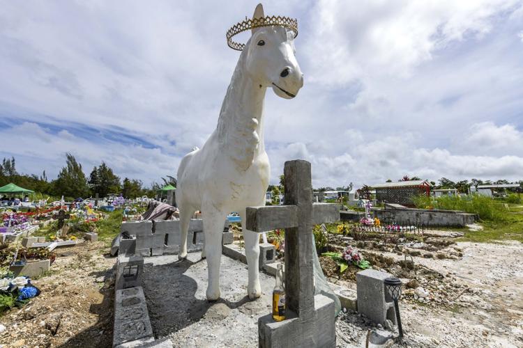Big horse amongst tiny homes at Limtiaco Cemetery | Multimedia ...