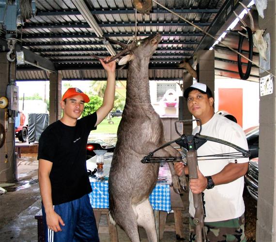 Hunting: A peaceful, digitally disconnected world | Sports | guampdn.com