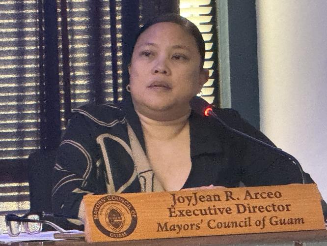 Mayors' council director: Some vendors wary of doing business with ...