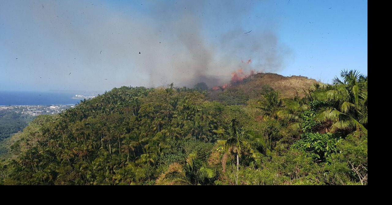 Senator introduces bill to combat destructive wildfires spread by arson ...