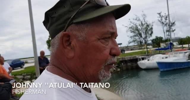 700 pounds of atulai confiscated | Local News | guampdn.com