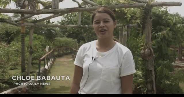 Learning how to heal through Chamoru culture, tradition | Local News ...