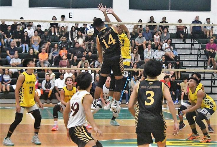 Versatile Ventura voted MVP; leads All-Island volleyball voting ...