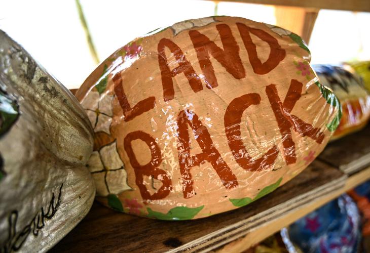 Malesso's coconut Christmas tree is up | News | guampdn.com