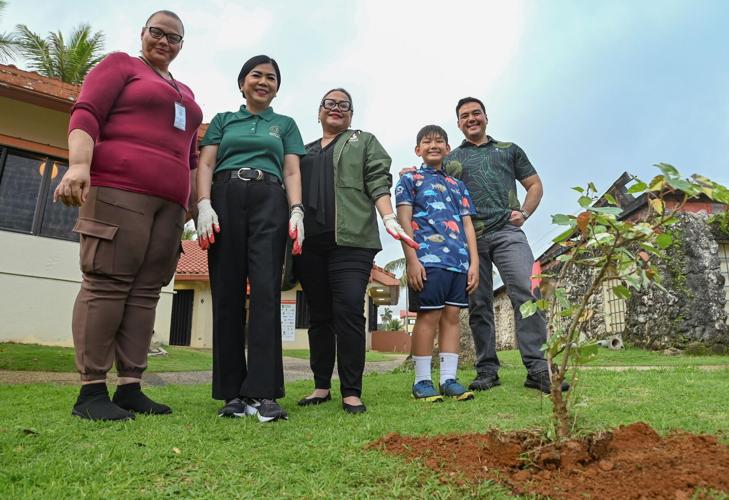 Tree planting at CHamoru Village | Multimedia | guampdn.com