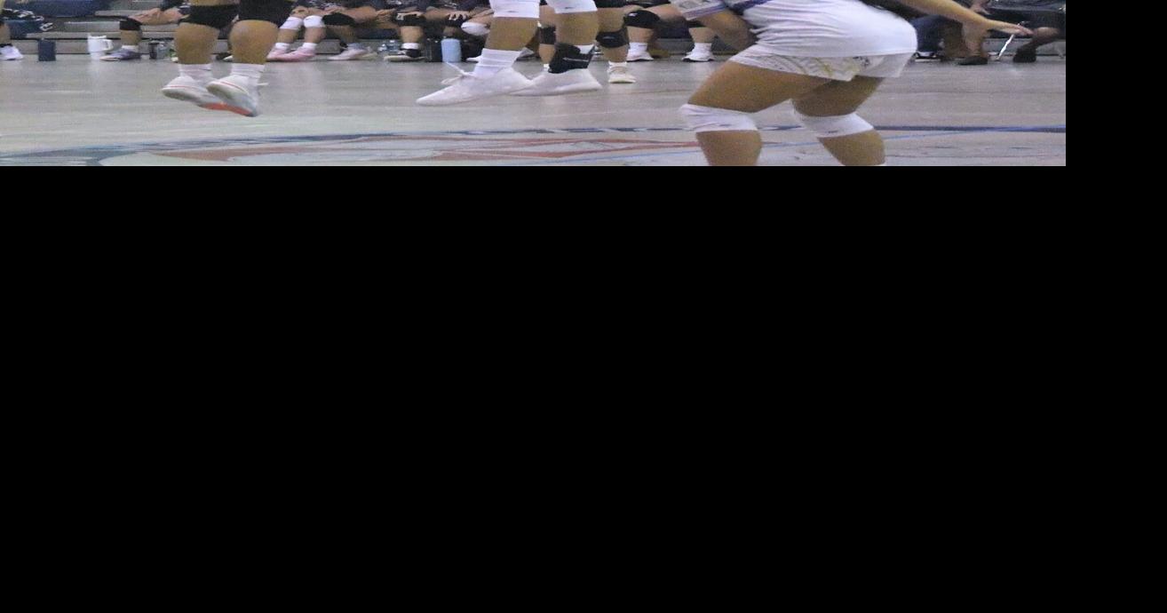 Lady Sharks looking forward to battle against defending champion Lady ...