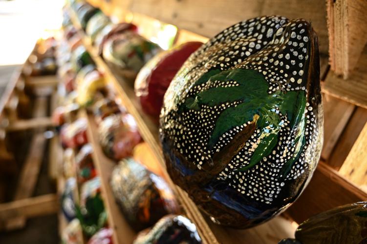 Coconut tree for the holiday season in Malesso' | Multimedia | guampdn.com