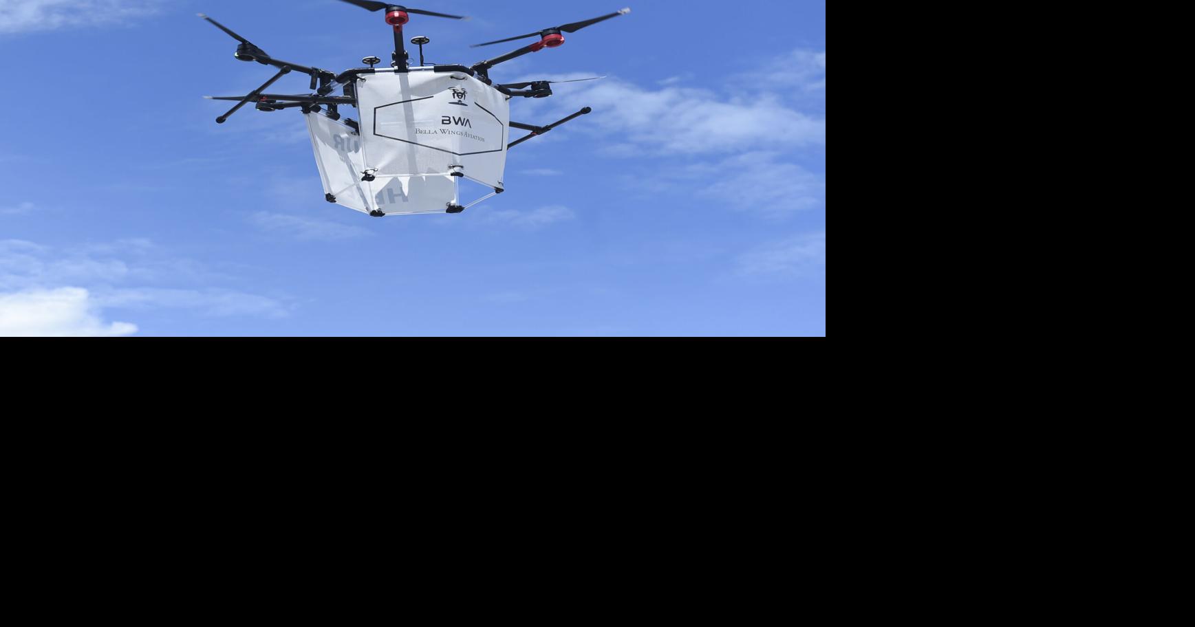 Bella Wings Aviation gives aerial advertising demonstration | News ...