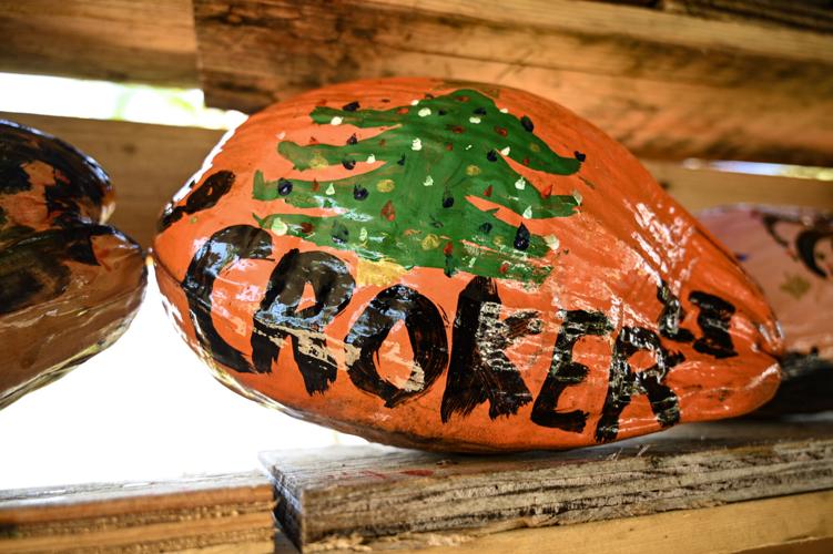 Coconut tree for the holiday season in Malesso' | Multimedia | guampdn.com