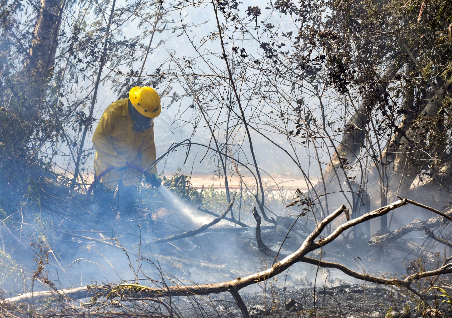 NWS: Red flag warning in effect for extreme fire weather danger | News ...