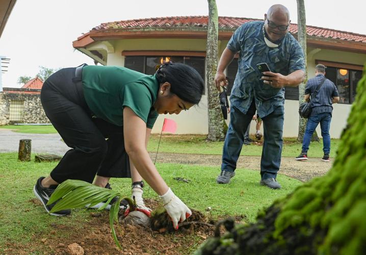 Tree planting at CHamoru Village | Multimedia | guampdn.com