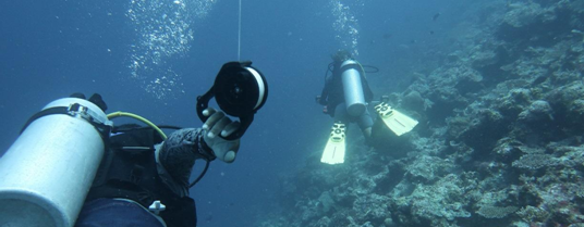 Report: Palau fisheries recovering from decades of overfishing | News ...