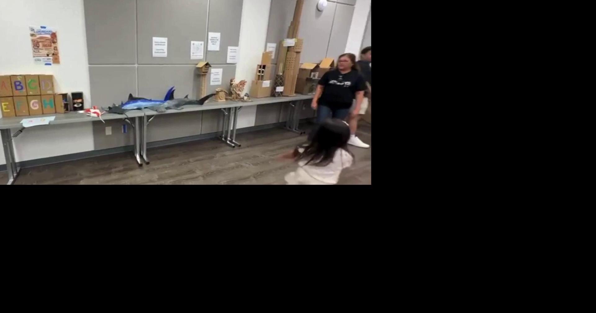 WATCH: Cardboard Challenge showcases island's creativity | Multimedia ...