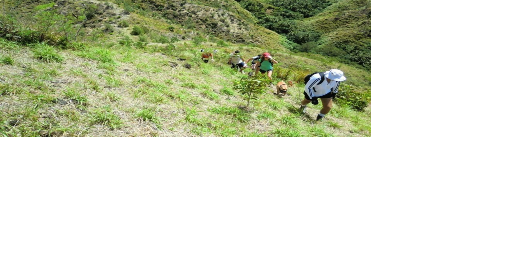 Boonie Stompers hike to Attilong Acho | Lifestyle | guampdn.com