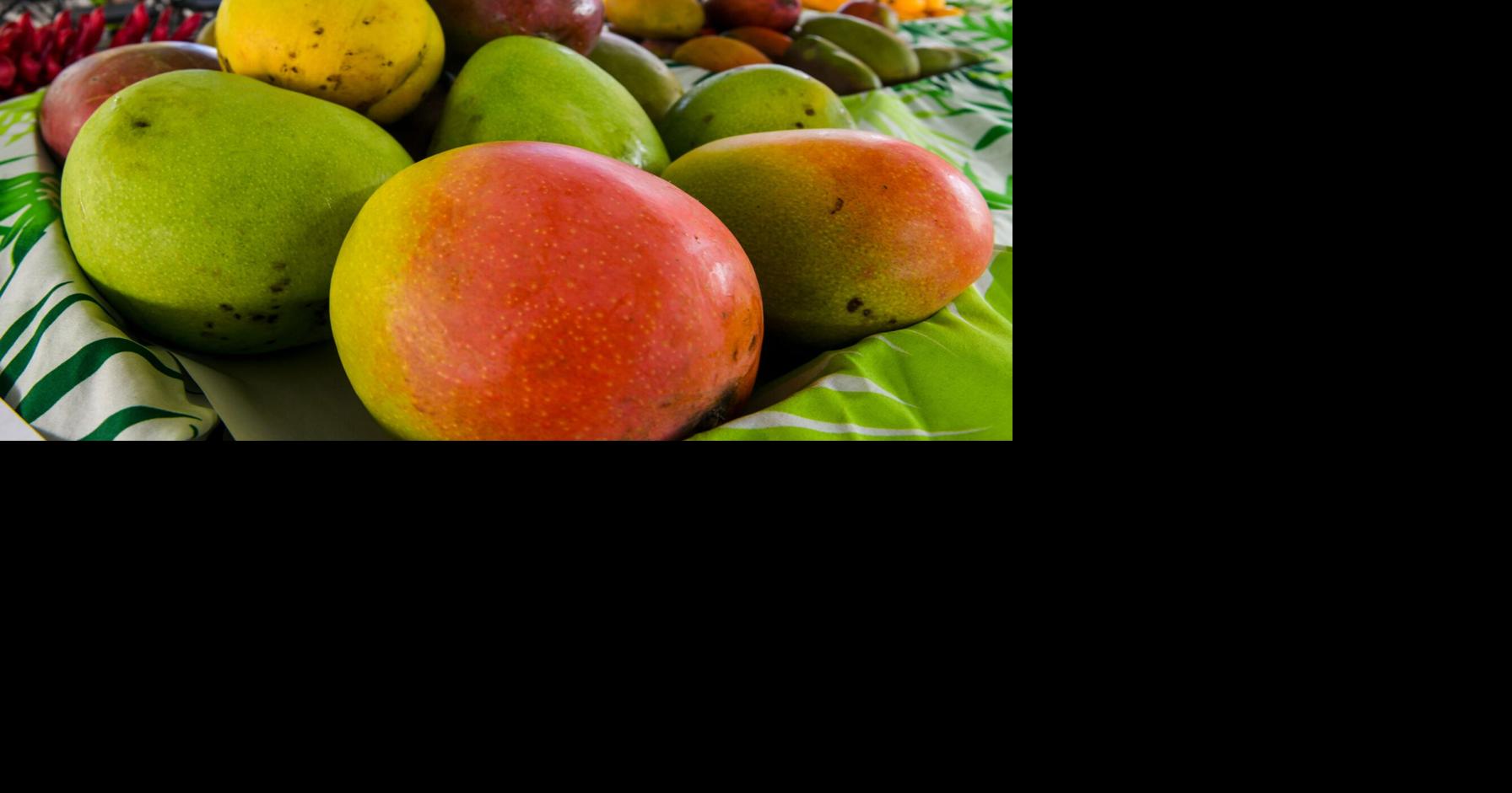 Mango festival set for July 28-July 30 | News | guampdn.com