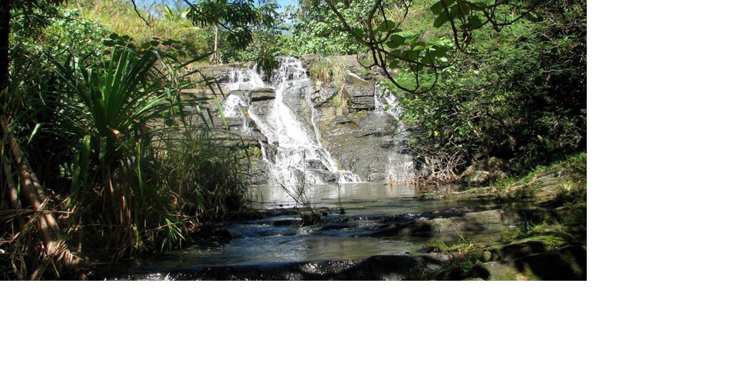 Boonie Stompers Inc. treks to Guatali Falls | Lifestyle | guampdn.com