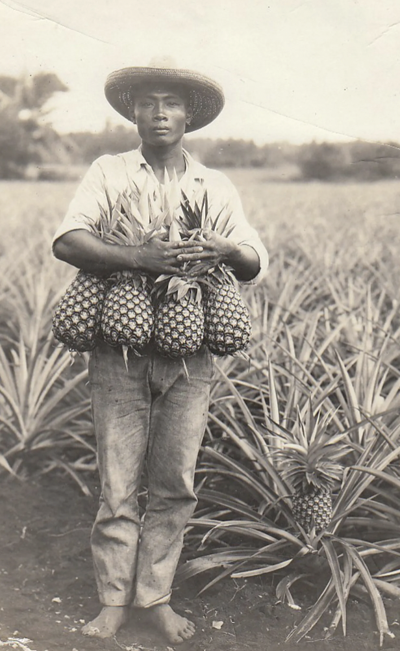 Biba Mes CHamoru: Guam Museum | Lifestyle | guampdn.com