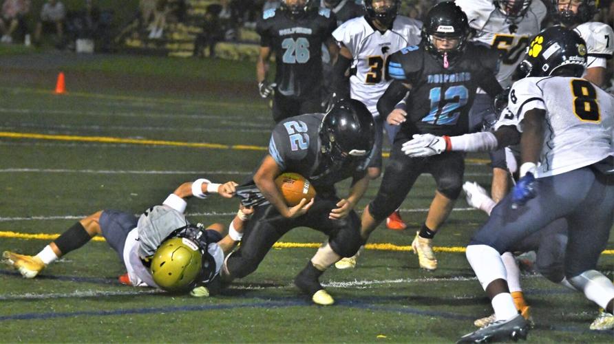 Panthers hit overdrive in second half vs. Dolphins | Sports | guampdn.com