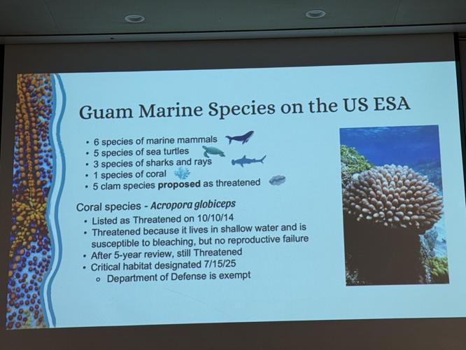 Symposium: Guam coral reefs 'special and worth protecting' | News ...