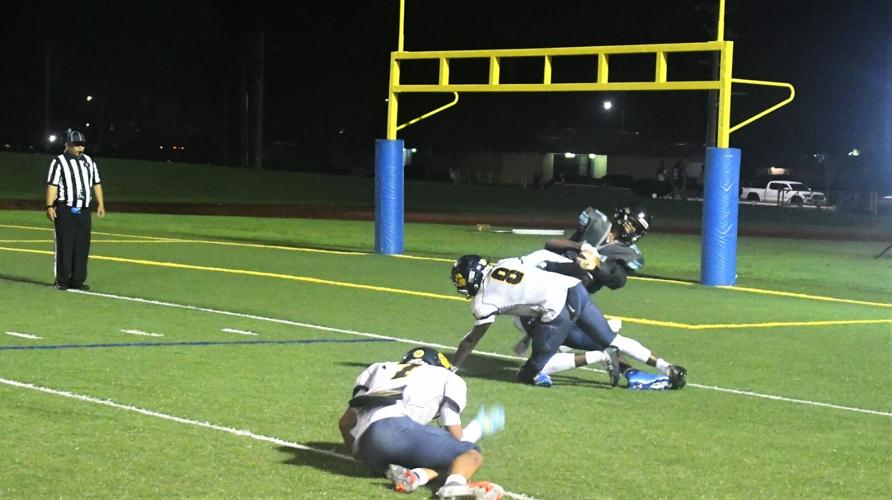 Panthers hit overdrive in second half vs. Dolphins | Sports | guampdn.com