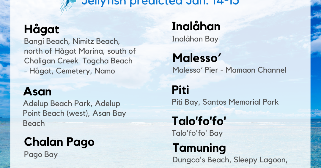 Guam EPA warns of 25 polluted beaches, jellyfish this weekend | News ...