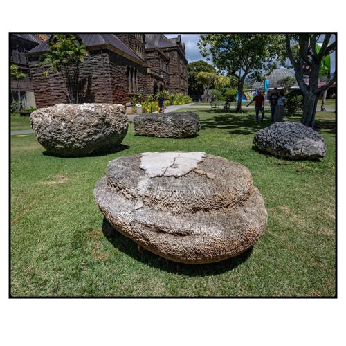 OPINION Sablan: The return of the latte | Opinion | guampdn.com