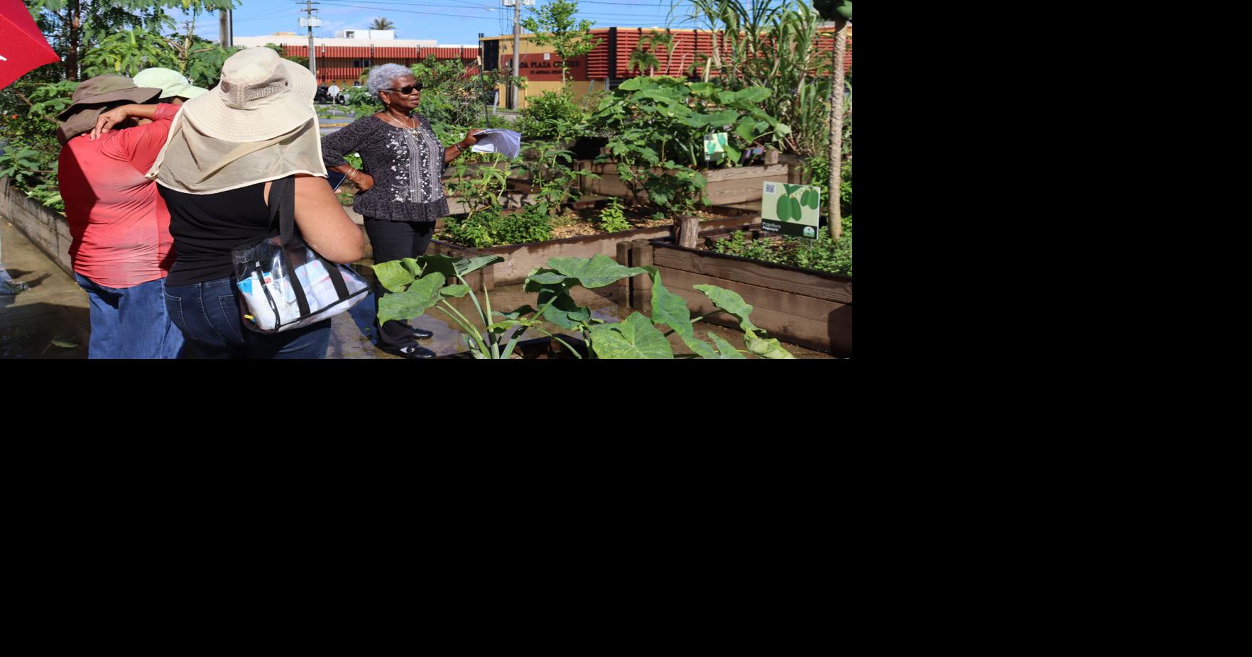 Guåhan Sustainable Culture hosts immersive tours in CHamoru at ...