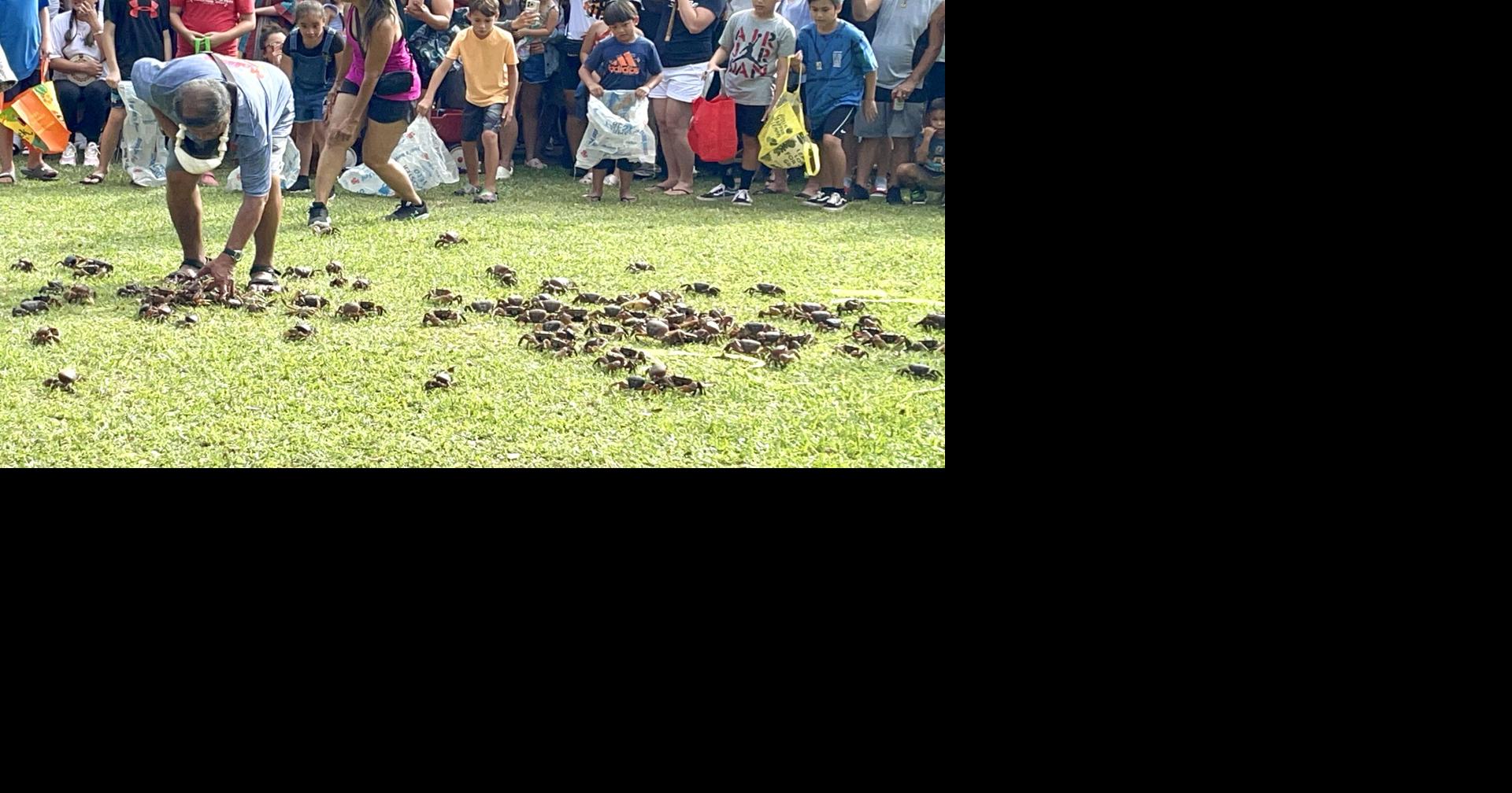 Malesso's 3-day festival: From celebrating traditions to catching ...